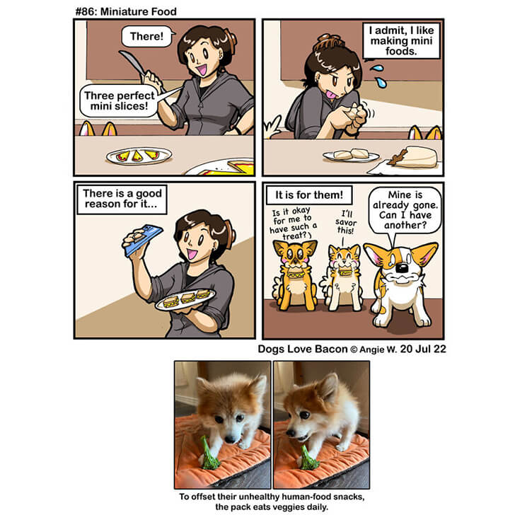Adorable Comics About 3 Dogs and Their Owner To Brighten Your Day ...