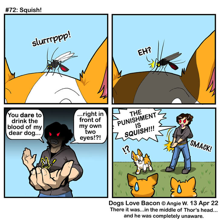 Adorable Comics About 3 Dogs and Their Owner To Brighten Your Day ...