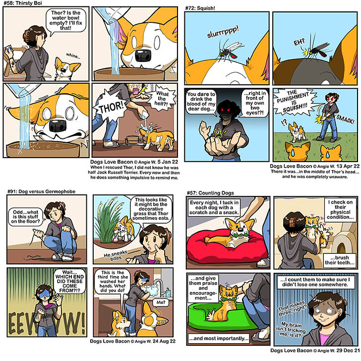 Adorable Comics About 3 Dogs and Their Owner To Brighten Your Day ...