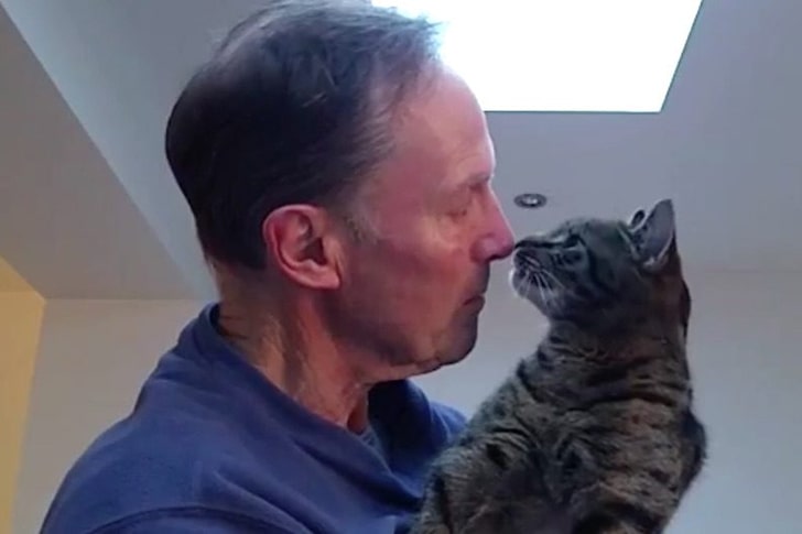 Unique Cat Behaviors That Will Convince You To Have a Feline In Your ...